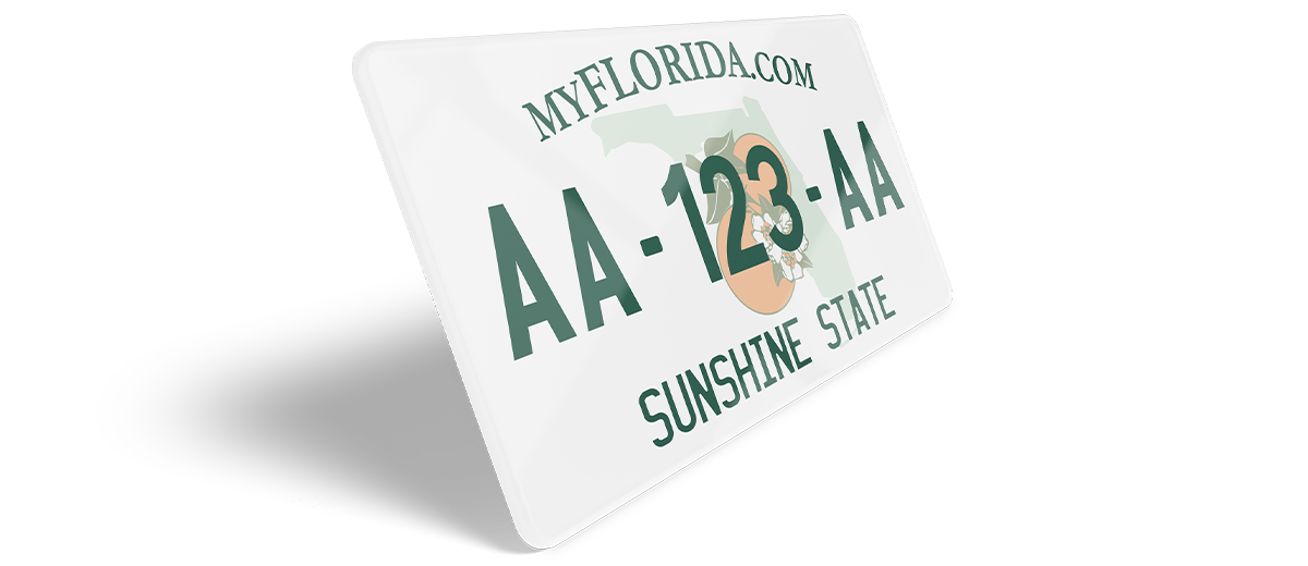 Plaque immatriculation USA 30x15 Floride